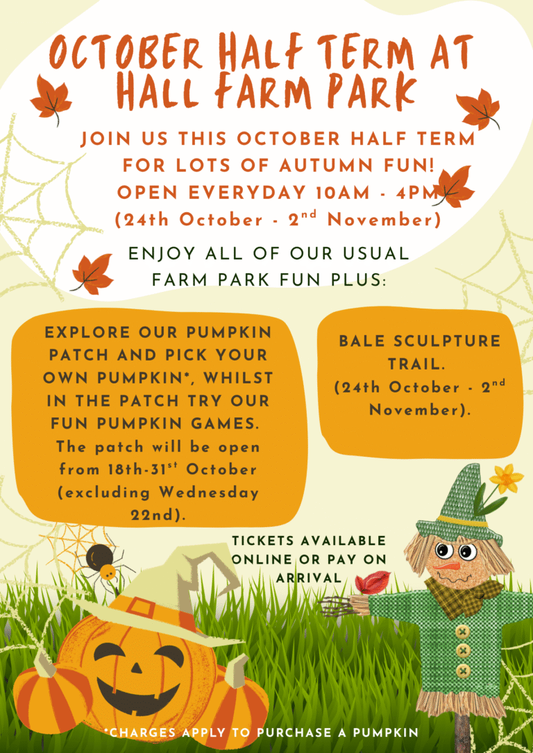 Autumn fun on the farm.. - Hall Farm Park